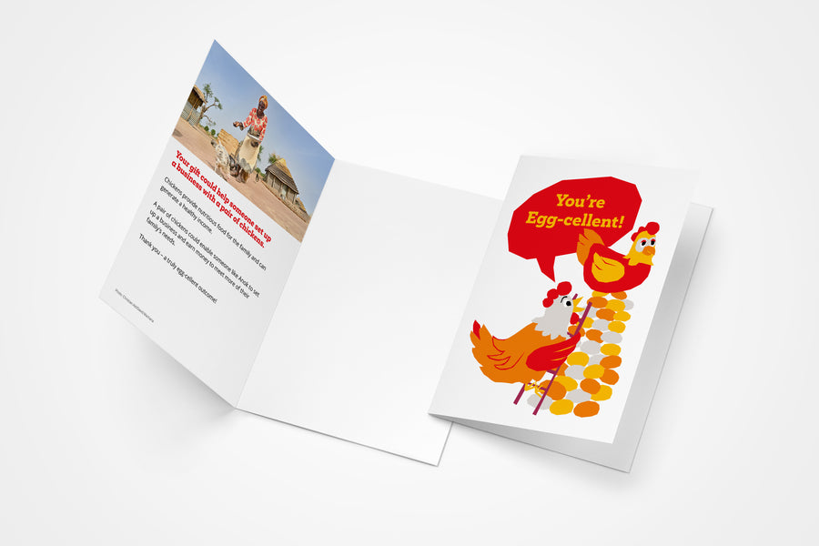 Charity Christmas Gifts - Christian Aid