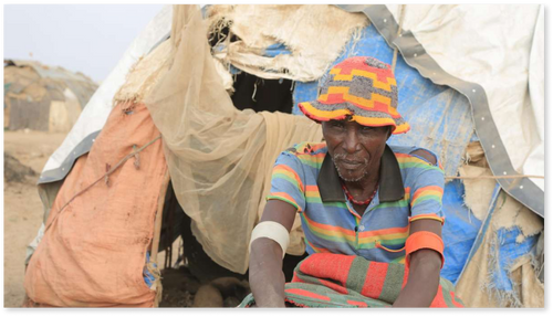 Christian Aid Charity Gifts