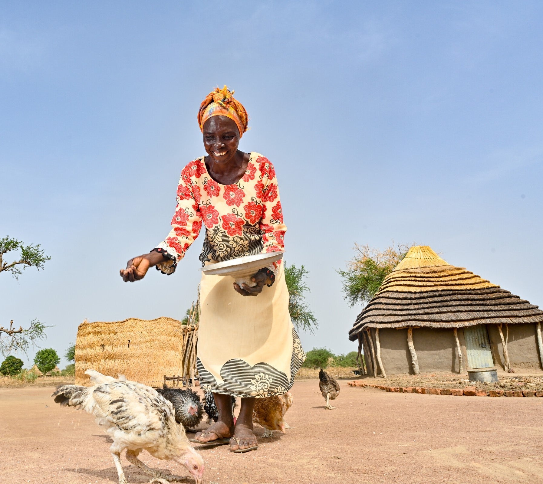 Gift a pair of chickens - Christian Aid Charity Gifts